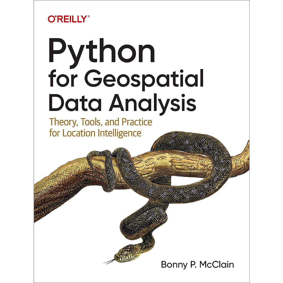 Python for Geospatial Data Analysis: Theory, Tools, and Practice for Location Intelligence