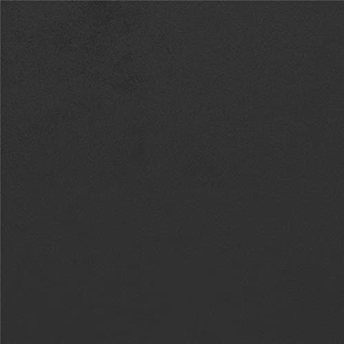 Little Seeds River Metal Toddler Bed, Black