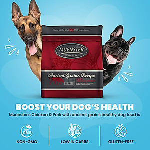 Muenster Adult Dry Dog Food, Small Breed, Large Breed - 4lb Bag Ancient Grain w/Chicken & Pork - Little Bites – Gluten Free, Non-GMO High Protein Dog Food - Soft & Healthy Digestive Dog Kibble