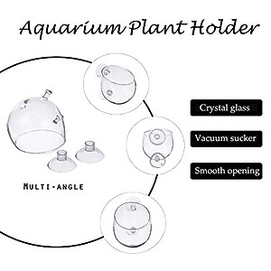 Hamiledyi Aquarium Plant Holder,Crystal Glass Aquatic Decor Plant Cup Pot with Suction Cups for Fish Tank Aquarium Aquascape Decoration,4 Pack