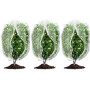 3Pcs Plant Covers from Insects, Bird Netting Barrier for Blueberry Bushes with Drawstring Zipper Mesh Garden Netting Fruit Tree Bags Plants Net Cage for Protect Tomato Vegetable Citrus, 3.3×5Ft