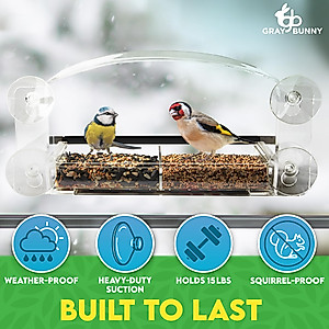 Gray Bunny Window Bird Feeder with Strong Suction Cups, Modern Window Bird Feeders for Outdoors Viewing, Clear Transparent Squirrel Proof Birdfeeder, Drain Holes, Removable Tray, Large Seed Capacity