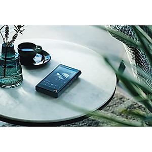 Sony NW-WM1AM2 Hi-Res 128GB Walkman Digital MP3 Music Player