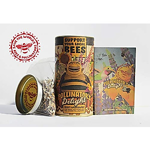 Pollinator's Delight | Flower Seed Grow Kit | The Jonsteen Company