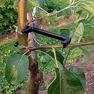 CLISPEED 20 Pcs Branch Press Valve Stem Tool Tree Branch Spreaders Tree Limb Spreader Plants Branch Trainer Branches Fixing Tool Branches Trainers Gardening Twig Clips Adjustable Bracket or