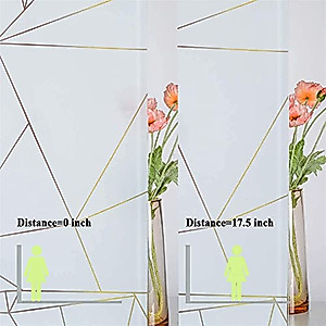 XENITE Window Privacy Film New Window Privacy Film Stained Glass Vinyl Self Adhesive Window Cling Static Cling Frosted Heat Insulation Window Sticker for Home one Way Window Film Window (Color : 60 X