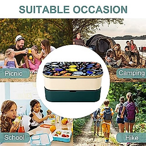 Graphic Ocean Fish Bento Box for Adult Lunch Box Containers with 2 Compartments Large Capacity for Camping Work Office