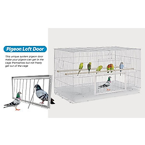 Racing Pigeon Trap Door,15.8in* 10.2in Pigeon T-Trap Entrance House Loft Door,Bird Cage Door,Pigeon Supplies