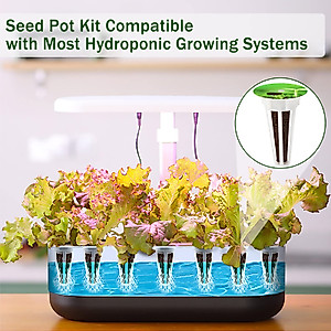 DECYOOL Garden Seed Pods, 48pcs Hydroponic Pods Kit:Grow Anything Kit with 12 Grow Baskets,12 Grow Sponges, 12 Pod Labels,12 Grow Domes