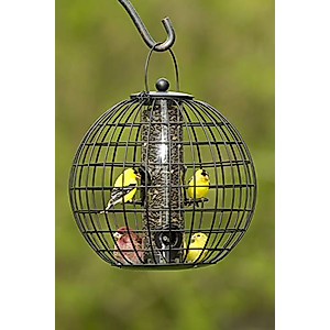 Gardeners Supply Company Globe Cage Bird Feeder | Sturdy and Squirrel Proof Outdoor Garden Hanging Hummingbird Feeder with Mixed Seeds Container | Best for Finches Nuthatches and Other Small Birds