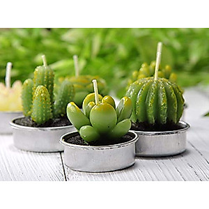 Cactus Tea Lights Candles, Terrarium Candle Gift Set for Mothers Day Valentines Day Gifts, Smokeless Handmade Cute Gifts Candles for Home Scented Birthday Wedding Props House Warming Party (12 Packs)