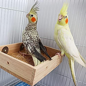 Bird Parrot Wooden Feeding Cups, Natural Wooden Parrot Bird Perch Stand, Birds Food Dish, Bird Cage Food Standing Feeding Perch Bowl Toy for Small Animal Parrot, Rat, Parakeet, Budgies, Love Birds