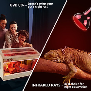 LUCKY HERP Infrared Heat Lamp 100W 2 Pack，Reptile & Amphibian Basking Spot Light Bulbs, Red Heat Lamp Bulbs for Reptiles, Bearded Dragon, Turtle, Lizard, Snake, Chicken