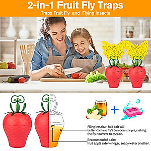 Fruit Fly Traps for Indoors,Effective Fly Catcher Gnat Traps for House with Yellow Sticky Traps,Fruit Fly Trap with Sticker with Bait Safe Non-Toxic Reusable Fly Trap for Home, Plant, Kitchen(2pack)