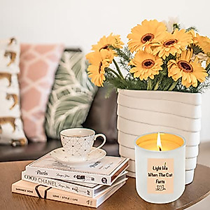 Lihome Cat Lover Gifts for Women - Cat Gifts for Cat Lovers, Odor Eliminating Candle, Candles for Home Scented, Handmade Ceramic Jar 11.5oz Natural Soy Wax(Lavender)