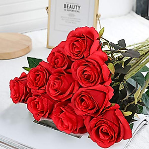 Hawesome Artificial Flowers 10 PCS Silk Roses with Long Stems Faux Realistic Roses for Wedding Bouquets Table Centerpieces Party Home Decor(White)