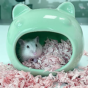 AmazeFun Small Pet Hideout Ceramic Adorable House Cozy Bed for Gerbils Hamsters Mice Mini Animals(Cyan)