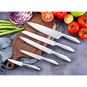 WELLSTAR Sharp Kitchen Knives 5 Piece Set, Chef Carving Bread Utility Paring Knife + Come Apart Heavy Duty Chicken Meat Scissors Shears with German Stainless Steel Blade + Onion Slicing Holder