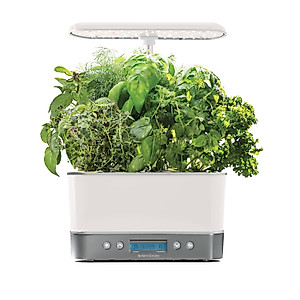 AeroGarden Harvest Elite Indoor Garden Hydroponic System with LED Grow Light and Herb Kit + AeroGarden Grow Anything Seed Pod Kit