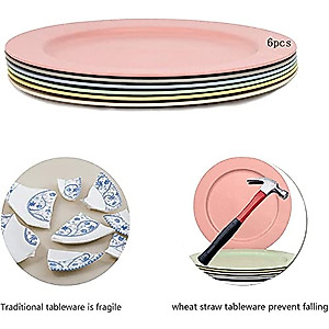 shopwithgreen 10 Inch Wheat Straw Dinner Plates, Unbreakable Sturdy Plastic Dinner Plates, Microwave and Dishwasher Safe