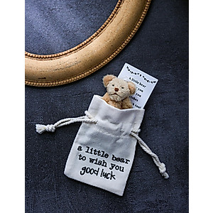 Good Luck Gift, Pocket Bear, Lucky Souvenir Gift, Miss You Gift, Gifts of Encouragement, Good Luck in Exams,Congratulations Graduation Gift.