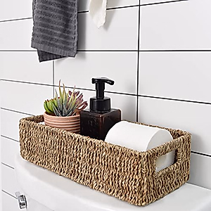 StorageWorks Seagrass Storage Baskets