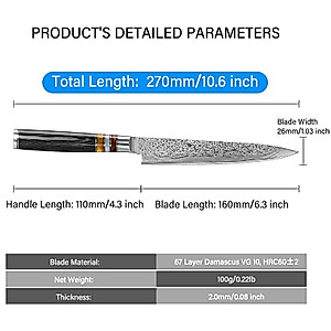 Chef's knives Damascus Steel Chef Knife Cuchillos de Chef Professional