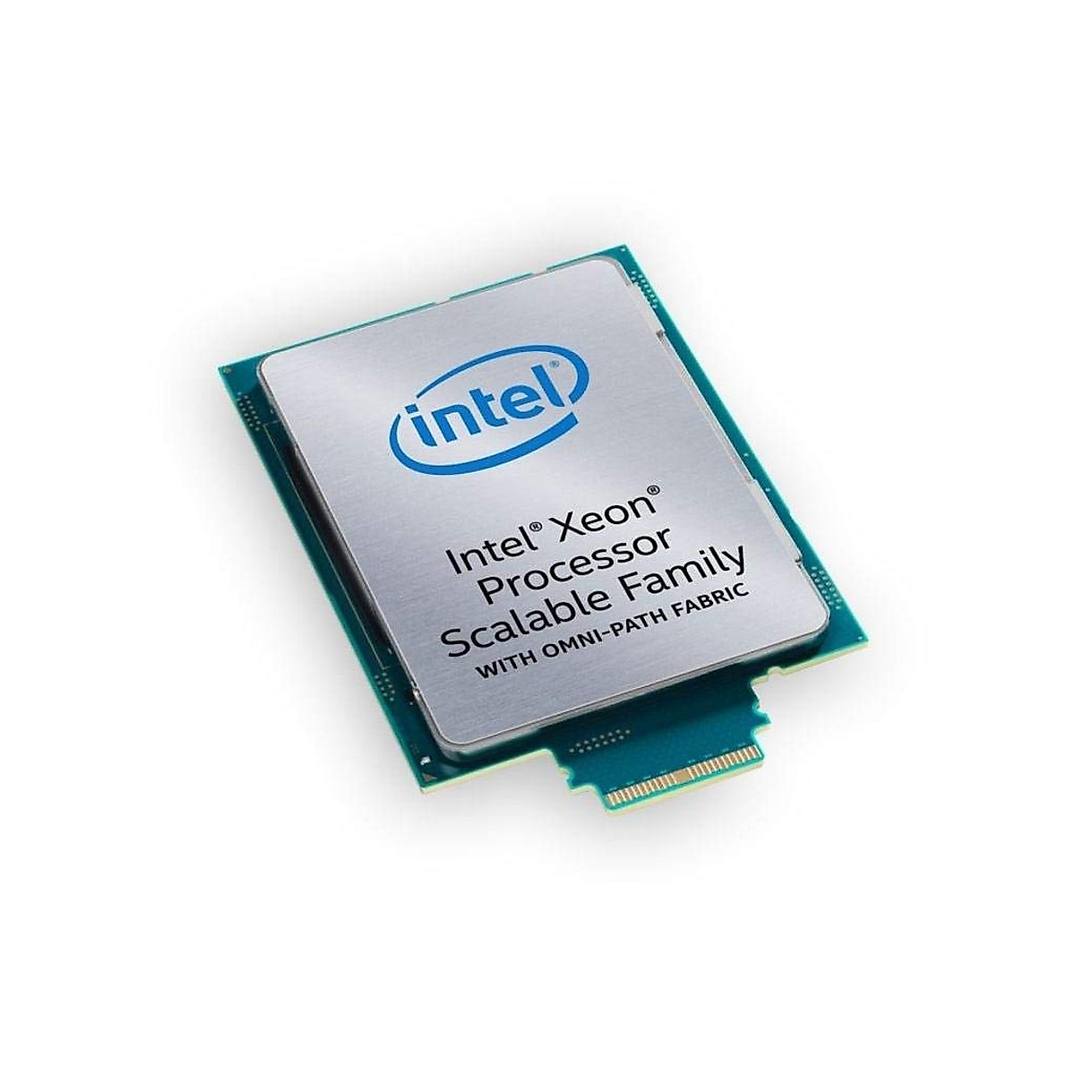 Intel Xeon Gold 6144 Octa-core (8 Core) 3.50 GHz Processor - 24.75 MB Cache - 4.20 GHz Overclocking Speed - 14 nm - Socket 3647-150 W