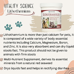 Vitality Science Natural Red Seaweed Lithothamnium Calcium Supplements for Cats and Dogs | Easy Absorption | Promotes Healthy Bones and Joints | Diarrhea Relief