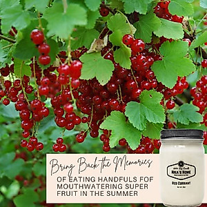 Nika's Home Red Currant Soy Candle 12oz Mason Jar Non-Toxic White Soy Handmade Long Burning 50-60 Hours Highly Scented All Natural Clean Burning Large Candle Gift Décor