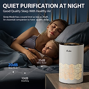 FreAire HEPA Filter, True HEPA Air Filter Replacement For Dust Smoke Pollen Dander Smell (White)