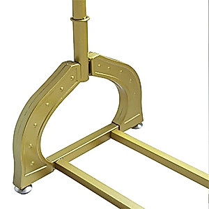 TFCFL Gold Rod Clothing Garment Rack, Heavy Duty Metal Shoes Bags Clothes Organizer Storage Shelves Garment Rack Wardrobe Rack Compact Large Metal Clothing Rack with Shoe Shelf (Style G)