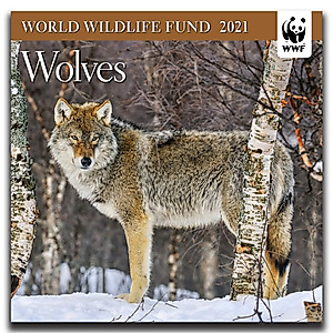 WWF Wolves Mini Wall Calendar 2021, 7" x 7"