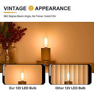 12V E12 LED Candelabra Light Bulbs - Soft Warm 2700K 2W (Only for 12 Volt DC/AC)- Small Candle Base - 25W Equivalent Low Voltage Flame Tip LED Bulb for RV, Backyard Shed - 4 Pack