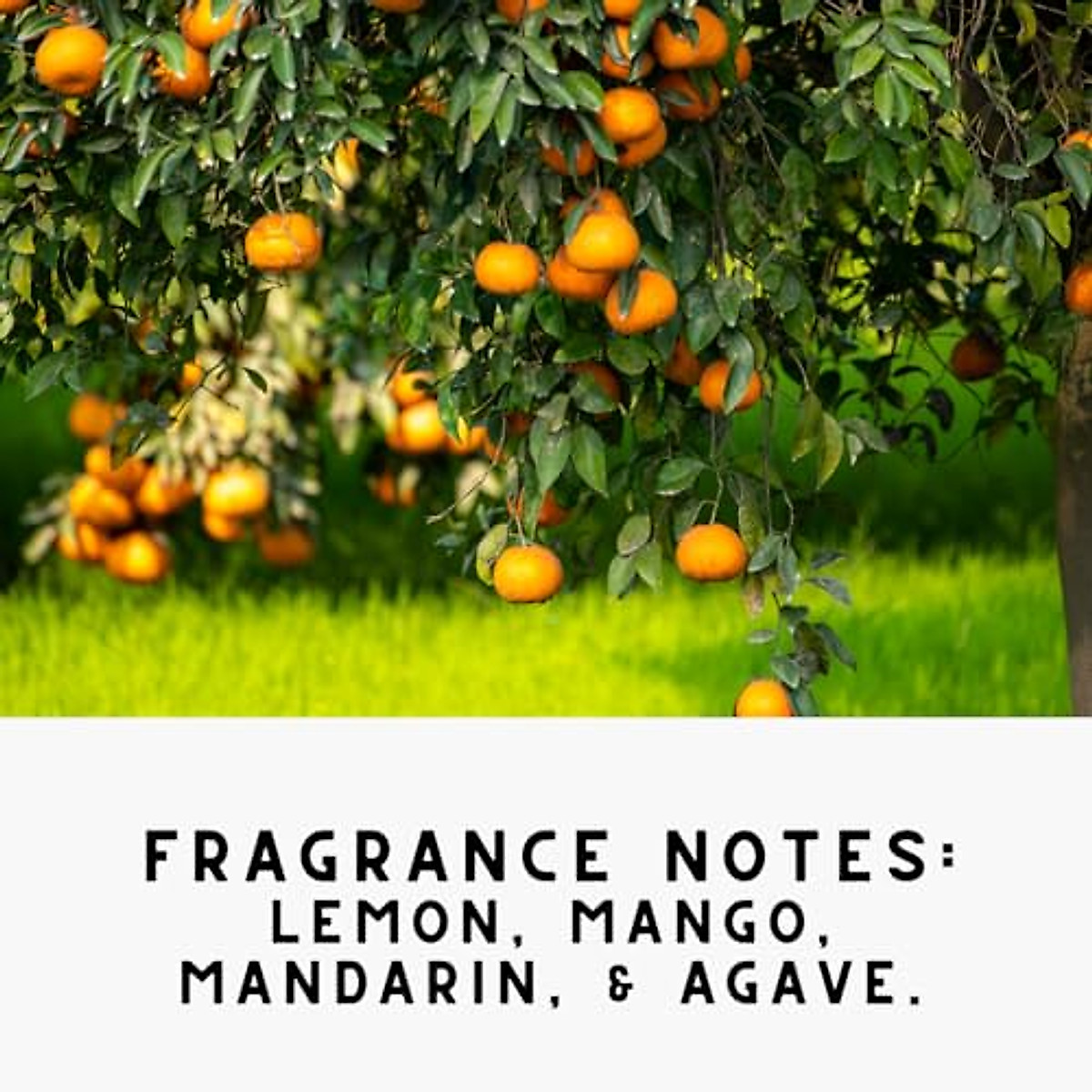 The Diamond Life Home 'Citrus' Lemon & Mango Carpet Powder, Mattress & Upholstery Freshener, Odor Eliminator, Deodorizer For Homes With Kids & Pets