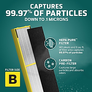 Germ Guardian FLT4825 HEPA GENUINE Air Purifier Replacement Filter B for GermGuardian AC4300BPTCA, AC4900CA, AC4825, AC4825DLX, AC4850PT, CDAP4500BCA, CDAP4500WCA and More, 1-Pack , Gray