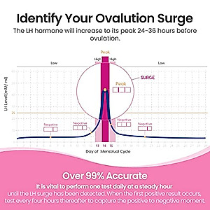Femometer 50 Ovulation Test Strips and 20 Pregnancy Test Strips, Over 99% Accurate & Easy to Use