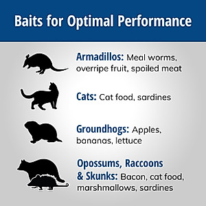 Havahart 1079SR Large 1-Door Humane Catch and Release Live Animal Trap for Raccoons, Cats, Bobcats, Beavers, Small Dogs, Groundhogs, Opossums, Foxes, Armadillos, and Similar-Sized Animals