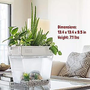 Back to the Roots Indoor Hydroponic Garden - 3 Gallon Self Watering, Mess-Free Planter for Herbs, Microgreens, Bamboo, Succulents, and Houseplants