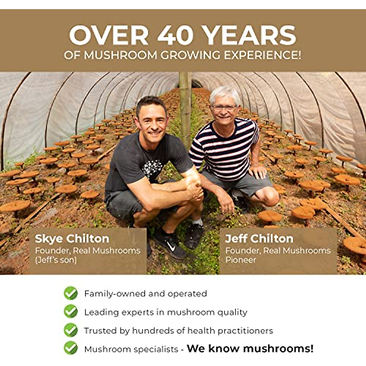 Organic Lions Mane Mushroom Powder Supplement - Improve Cognitive and Immune Support - Gluten Free Powder Extract