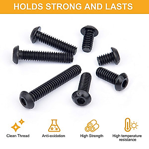 VIGRUE 305Pcs 1/4-20 Bolt and Nut Assortment Kit, 1/4-20 Black Button Head Socket Cap Screw Nuts Washers Kit, Assorted Allen Head Screws, Class 12.9 Alloy Steel