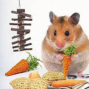 Magnoloran 12 Pack Hamster Chew Toys Set Hamster Exercise Accessories Small Animal Teeth Care Molar Toys Guinea Pig Pet Toys for Rabbit Bunny Chinchilla Guinea Pig Gerbils Groundhog Squirrels