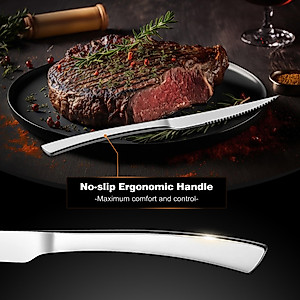 E-far Serrated Steak Knives Set of 12, Stainless Steel Dinner Knife for Home Kitchen Restaurant, 9 Inch Table Knife with Ergonomic Handle and Sharp Tip & Blade, Mirror Silver & Dishwasher Safe