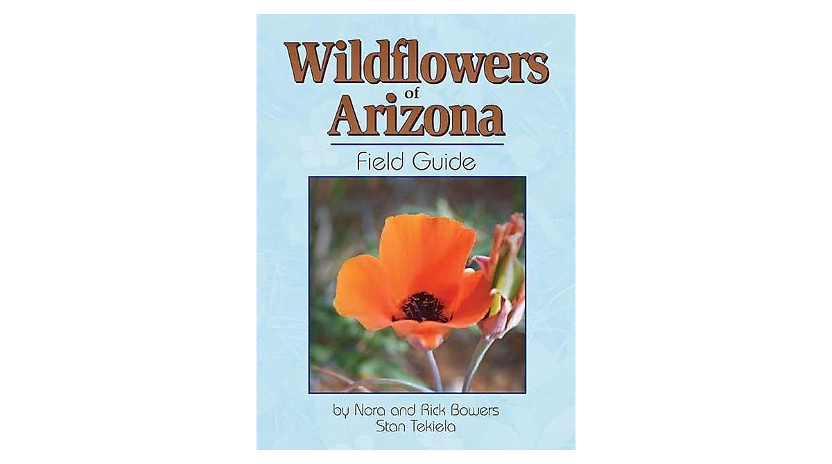 Wildflowers of Arizona Field Guide | Identify 200 Native Species