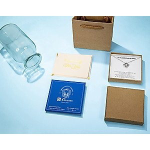 Famdecor Unbiological Sister Necklace Bonus Sister Necklace Sister in Law Necklace Sterling Silver Rhinestone Knot Necklace for Sister Birthday Gifts from Sister Christmas Gifts