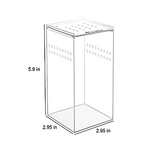 NANEEZOO Magnetic Acrylic Case, 2.9x2.9x6 Inch Nano Arboreal Tarantula Enclosure Reptile Habitat Terrarium Breeding Box for Spider Scorpion Sling Isopods Lizards Invertebrates Insect Mantis
