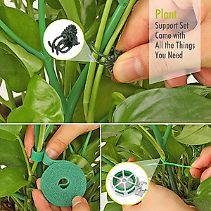 6 Pack Plant Support Stakes for Indoor Plants, 39.37 Inch Twig Plant Sticks with Orchid Clips Twist Ties and Plant Ties for House Potted Monstera Plants, Plastic Branches Support Structures, Green