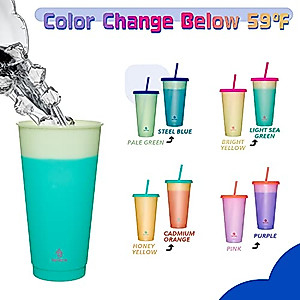 Befano Color Changing Cups, 24oz Reusable Plastic Cups with Lids and Straws for Adults and Kids, Bulk Tumblers for Iced Coffee Tea and Smoothie, To go Summer Cups for Party and Travel -4 Pack