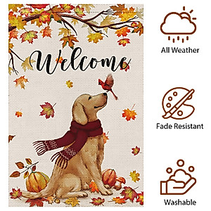 Welcome Fall Garden Flag 12 x 18 Inch Double Sided Burlap, Golden Retriever Dog Cardinal Yard Flags for Seasonal Thanksgiving Farmhouse Decoration(ONLY FLAG)