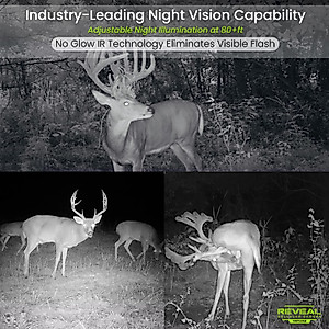 TACTACAM Reveal XB Cellular Trail Camera, No Glow - Verizon & AT&T